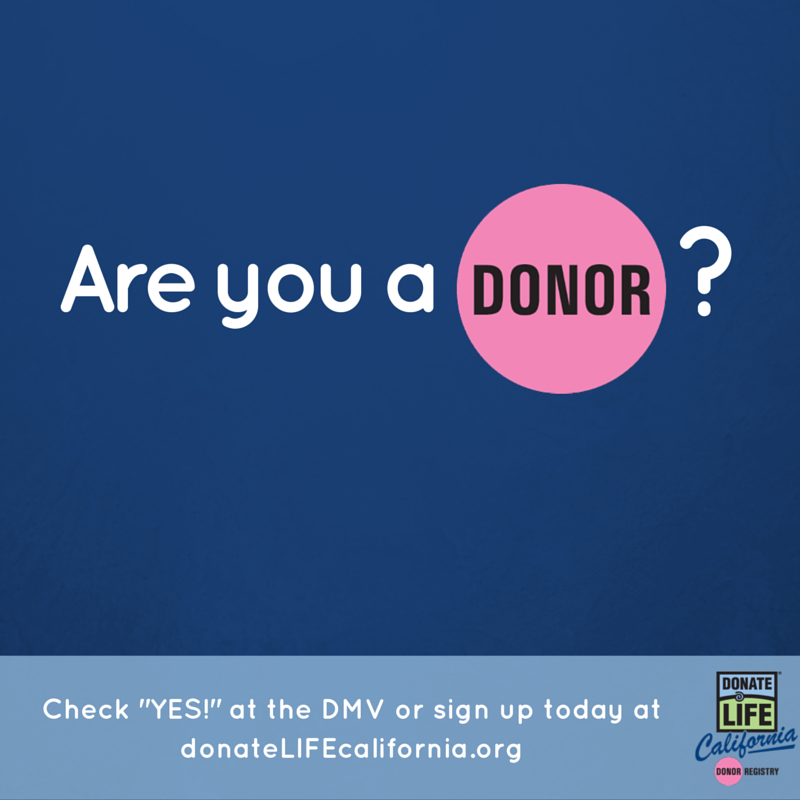 Educator Resources Organ Donation Lesson Plans Educator Resources Organ Donation Lesson Plans